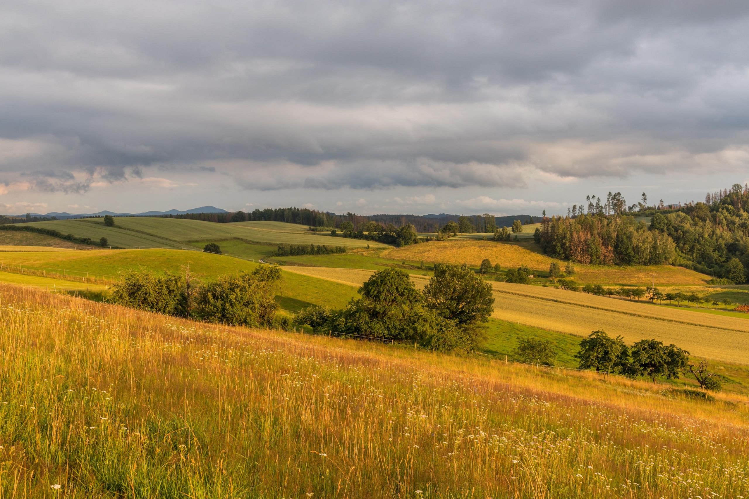 ☀️ Sebnitz ️ Saxon Switzerland